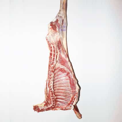 Sheep Leg - Halal Meat UK - Clickhalal Meat Online Delivery in UK